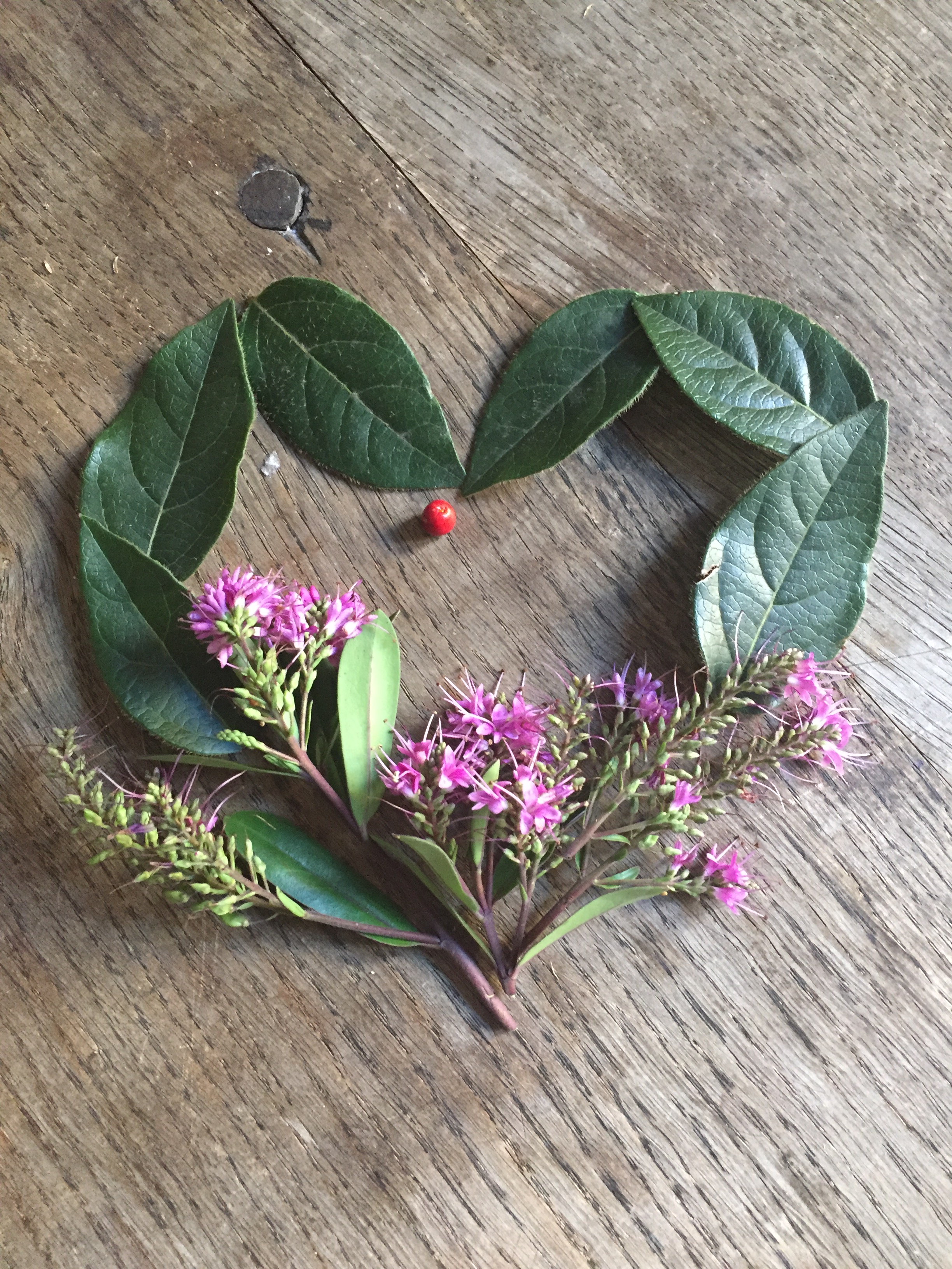 Valentine’s day fun – Early Years Outdoor Learning